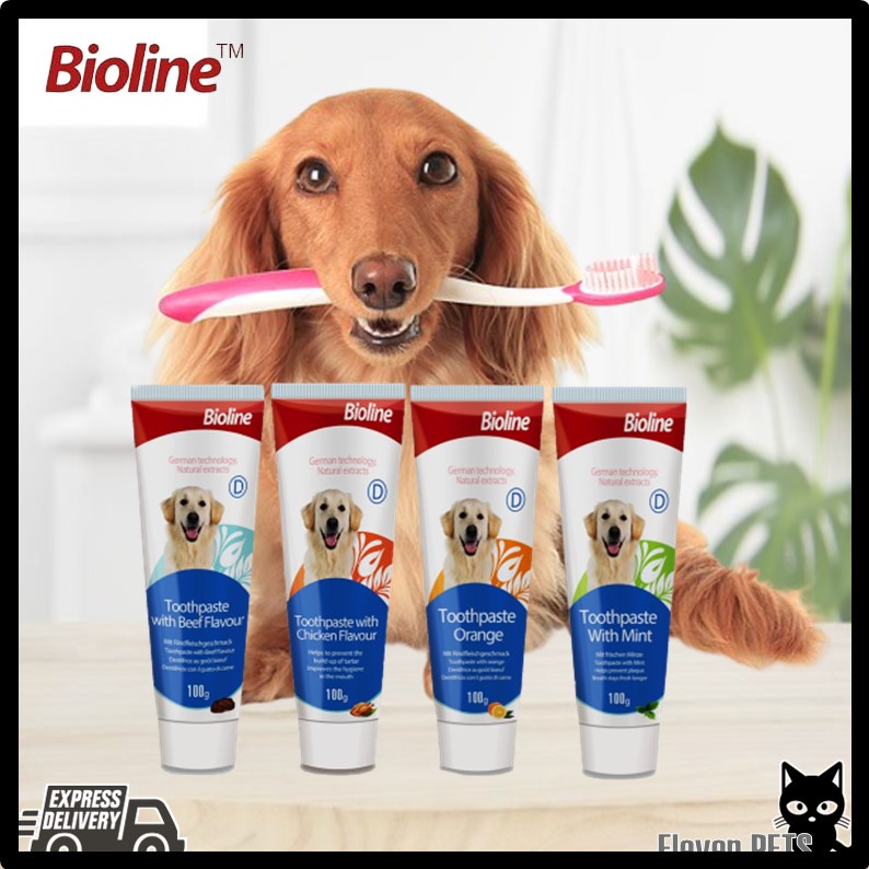 Bioline Dog Toothpaste Dental Care 100G (Bioline Toothpaste, Orange ...