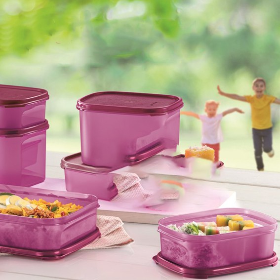 Tupperware Mega Modular Mini Rectangular 850ml | Shopee Malaysia