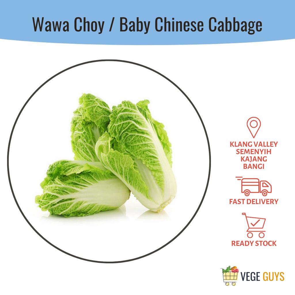 Wawa Choy / Baby Chinese Cabbage 娃娃菜 (+/-300g) | Shopee Malaysia