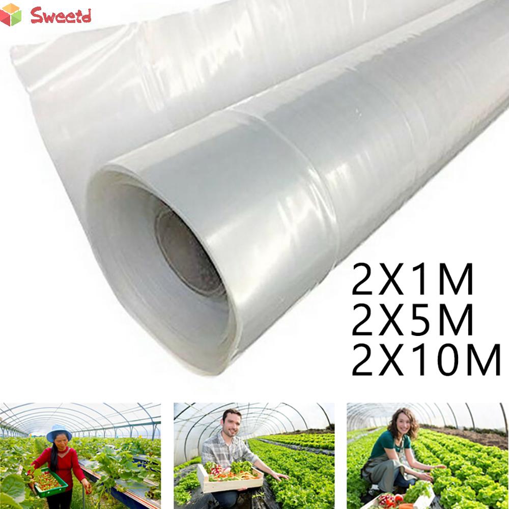 Greenhouse Film Vegetables Flowers Plastic Hot House Yard PE ...
