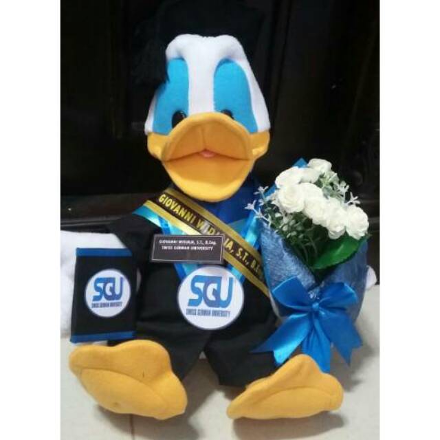 Donald duck Graduation Doll/daisy duck Complete 40cm | Shopee Malaysia