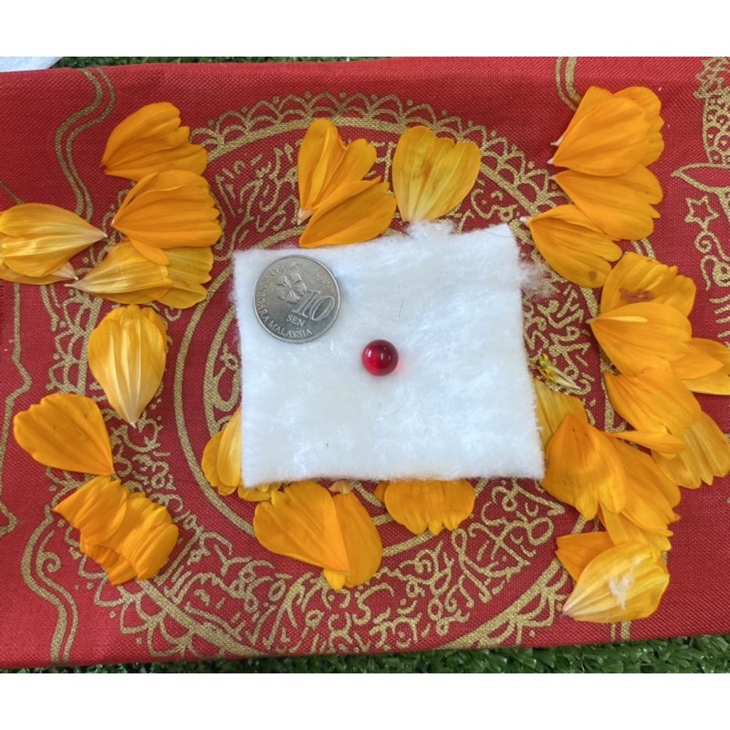 BUNTAT DELIMA GELIGA DELIMA 🔥🔥🔥 | Shopee Malaysia