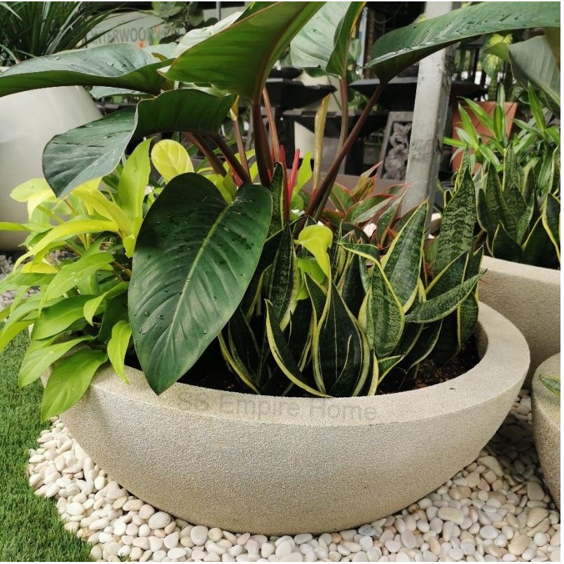 RICO Z16 Fiberglass Round Flat Conical Small Medium Large Flower Pot ...