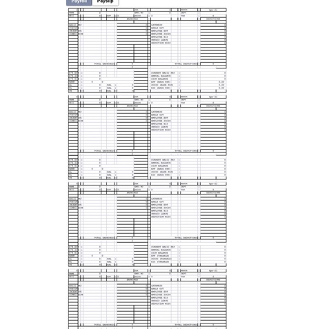 Payroll Template with Pay-slips excel copy (suitable small company ...