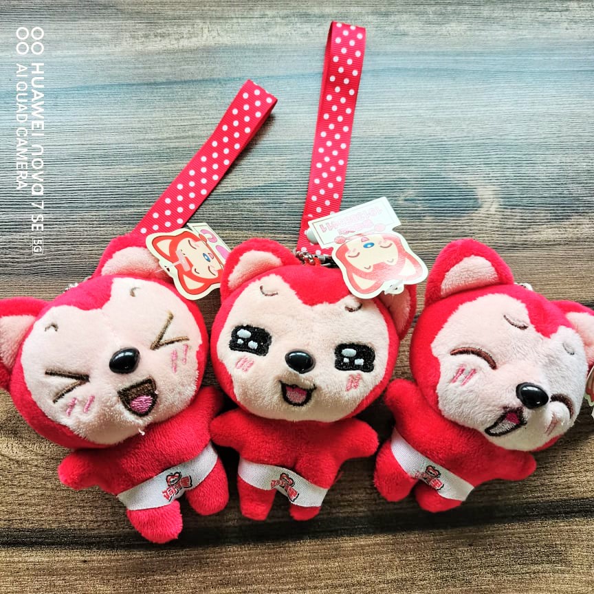 Second Hand Plush Toys Assorted CJ7, Rabbit, Domo, Totoro, 阿狸 (Small ...