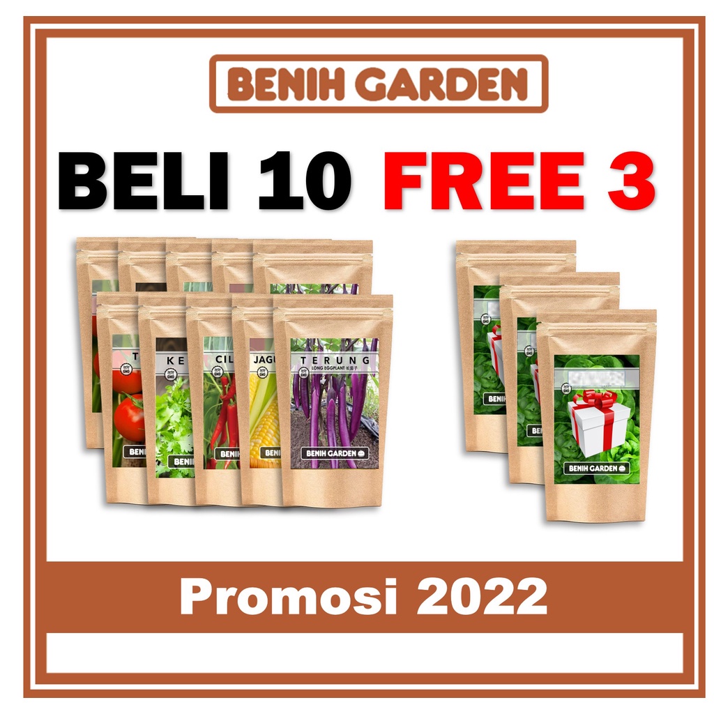 Benih Benih Sayur Kacang Bunga Vegetable Bean Flower Daun Sup | Shopee ...