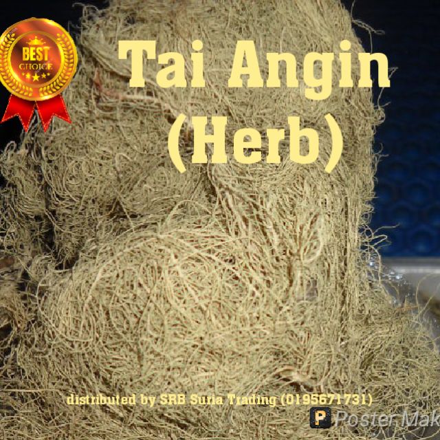 Tai Angin/Tahi Angin/Akar Angin Herba (100g) | Shopee Malaysia