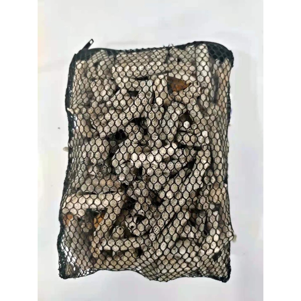 Coral Aquarium Filter Media Stone 珊瑚石 1pack | Shopee Malaysia
