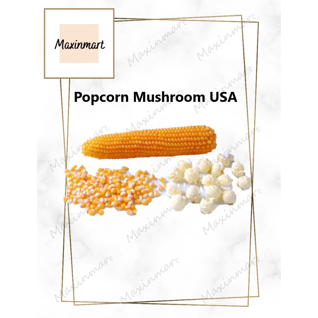 USA Popcorn Mushroom 500g (Bertih Jagung Popcorn) | Shopee Malaysia