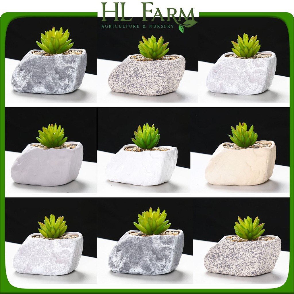 Stone design ceramic Succulent pot / cactus pot / pasu bunga / pasu ...