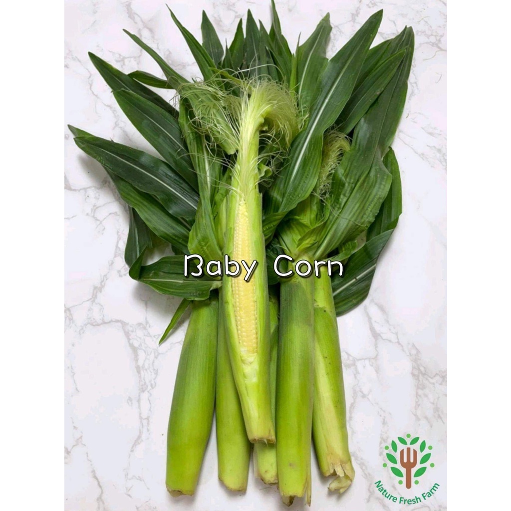 (Klang Valley Only) Organic Baby Corn/ Jagung Muda/ 有机小玉米 1kg Direct ...