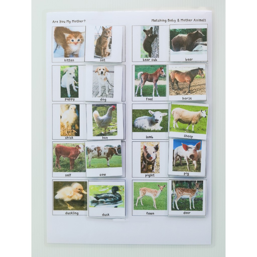 Matching Baby & Mother Animals-Quiet Book Busy Book Montessori Ready ...
