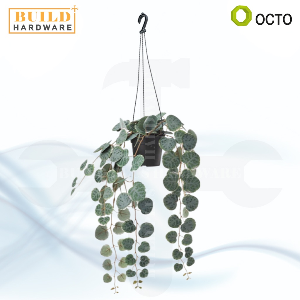 OCTO Plastic Plant Flower Pot Transparent 120/150/170/220 Saucer Hanger ...