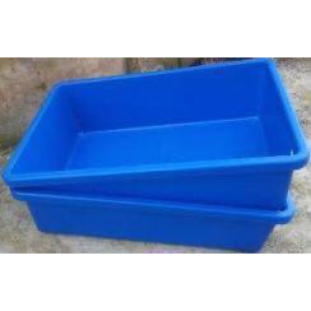 Guppy plastic tank ( betta, lobsters and so on) | Shopee Malaysia
