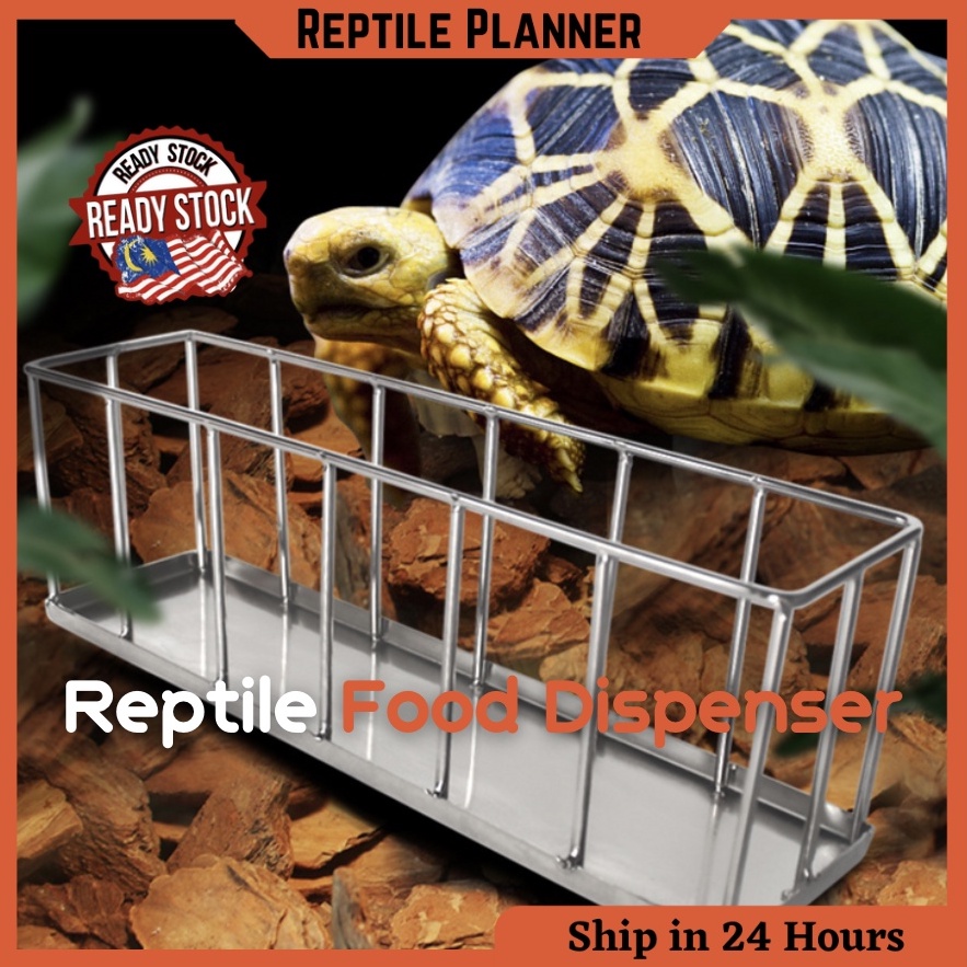 Tortoise Food Bowl 304 Stainless Steel Turtle Feeder Food Water ...