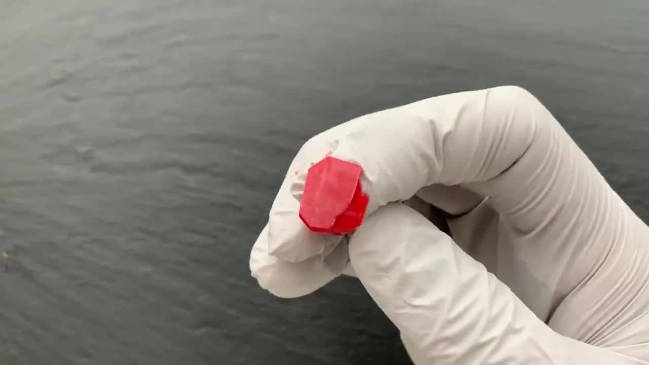 Tool Korea Gunprimer GP Balancer White Gloss Polisher Gray Scratch ...