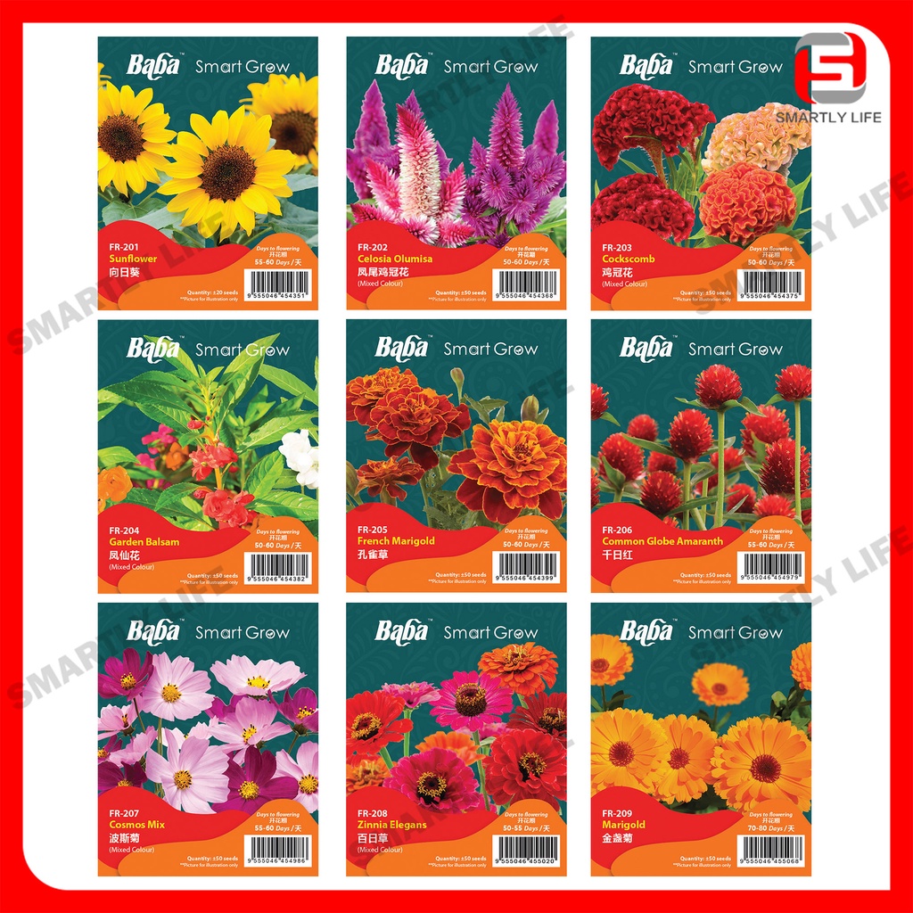 Baba Smart Grow Seed : Flower Seed Series 花 种子 Benih Bunga Non GMO ...