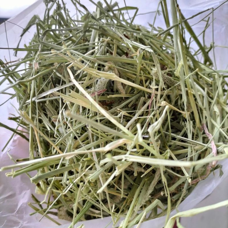 ‼️Timothy hay first cut 1kg／pack 提摩西草 晒干 Timothy second cut/soft 1kg ...