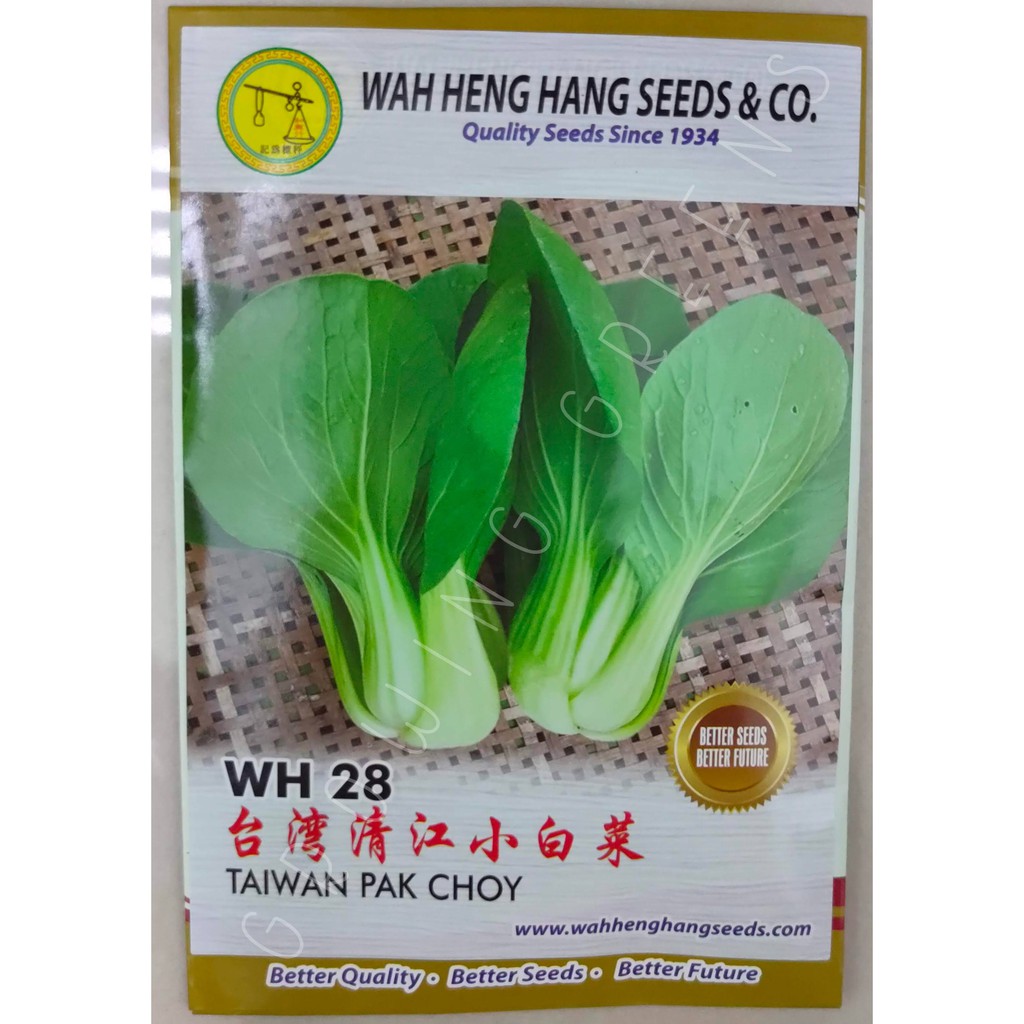 WH28 Taiwan Pak Choy / Pak Choi Taiwan | Shopee Malaysia