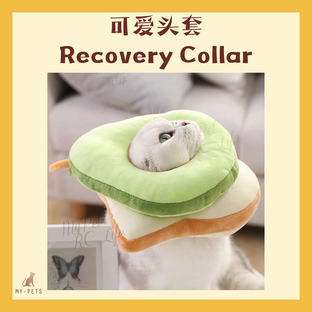 【READY STOCK】Cat Dog Recovery Collar Cone Anti Lick 伊丽莎白圈 猫项圈猫脖圈牛油果面包圈 ...