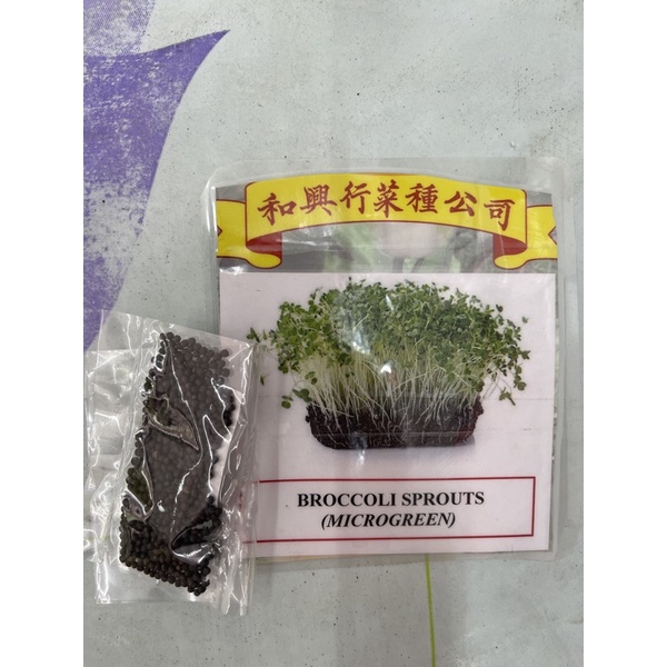 -bernih broccoli sprouts wan Heng hang 3g | Shopee Malaysia