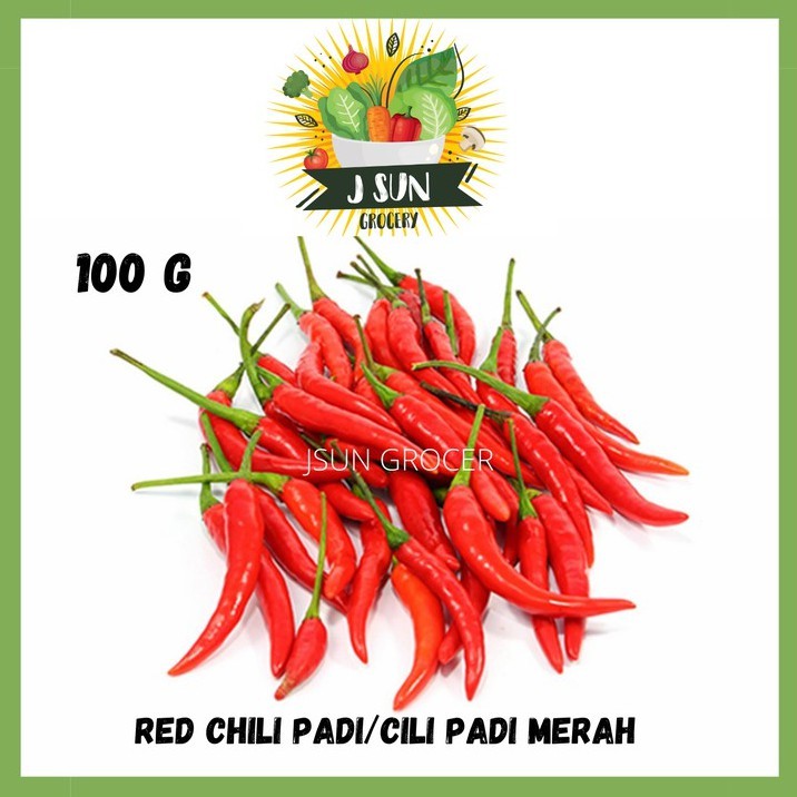 RED CHILI PADI/CILI PADI MERAH/红小米椒-100 G | Shopee Malaysia