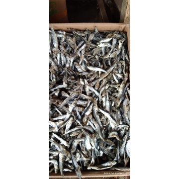 Salted Fish Lemet Concave / Cikong Cementite | Shopee Malaysia