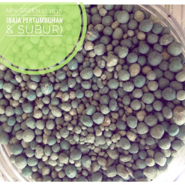 🔥🌱🌱2kg BAJA SUBUR / DAUN SEBATIAN 15:15:15 Sebatian 🌱🌱🔥 | Shopee Malaysia