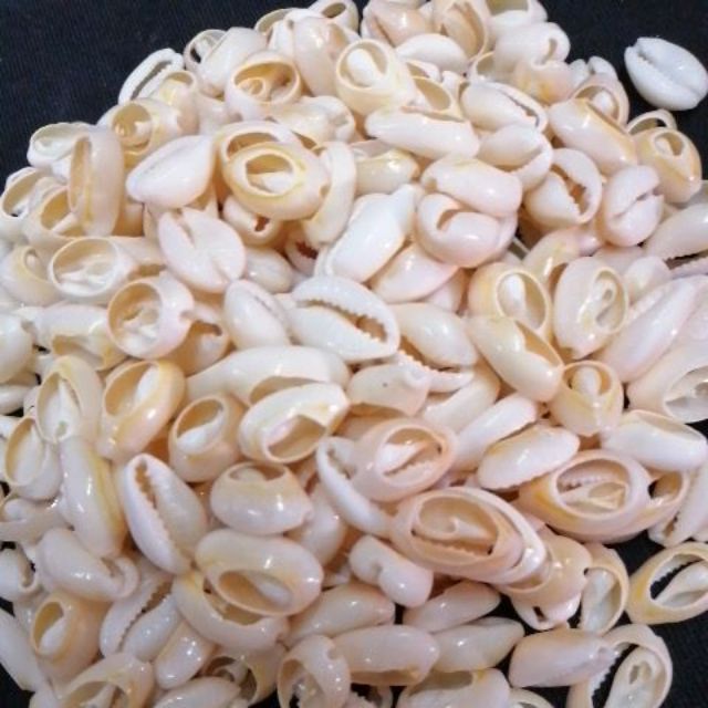 Seashell / Burie Kuyung XS, S, M, L & XL (white) | Shopee Malaysia