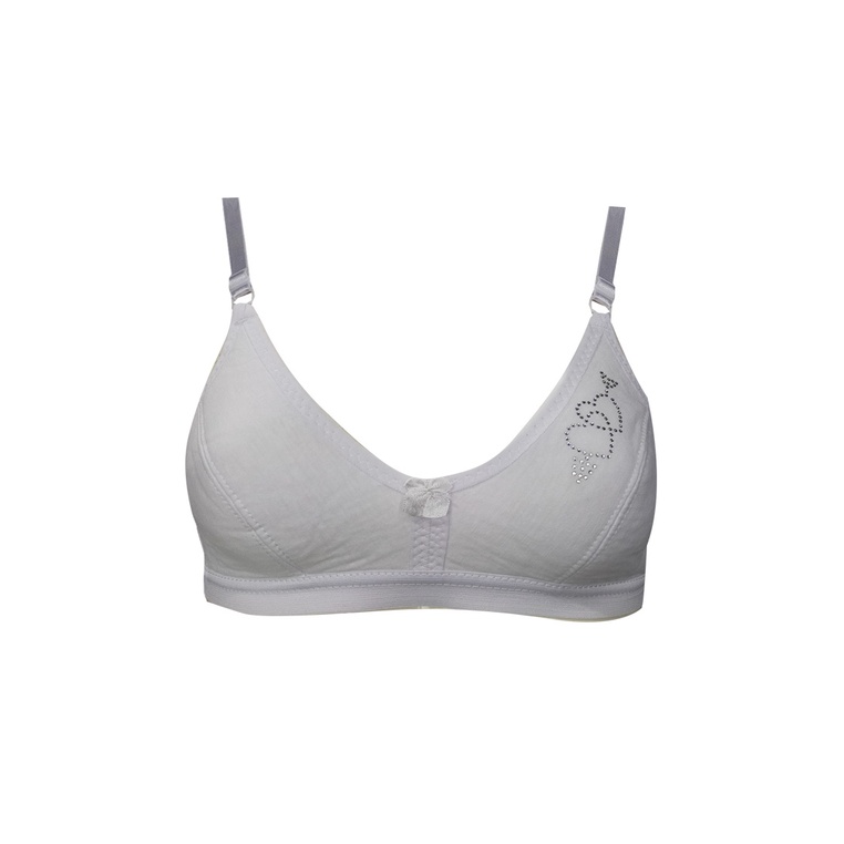 Hari-Hari - EV FASHION Women's Bra A Cup / Non-Wired / Baju Dalam ...