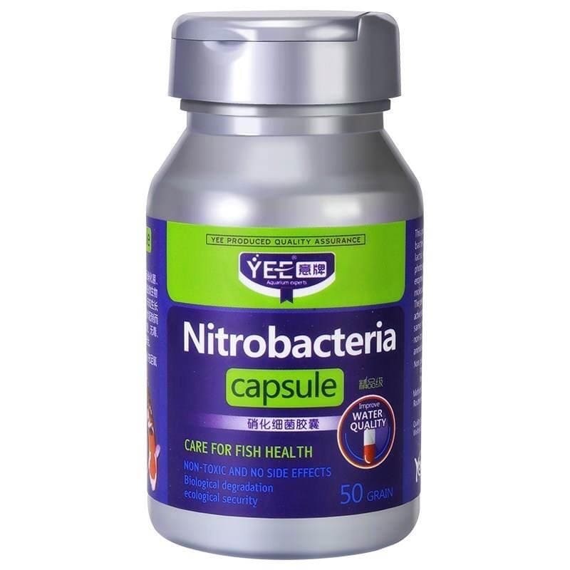 Nitrobacteria Aquarium Nitrifier Nitrifying Bacteria Capsule EM Air ...