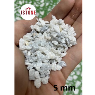 500G Local Black/White Chipping Pebble Gardening Decor Stone | Batu ...