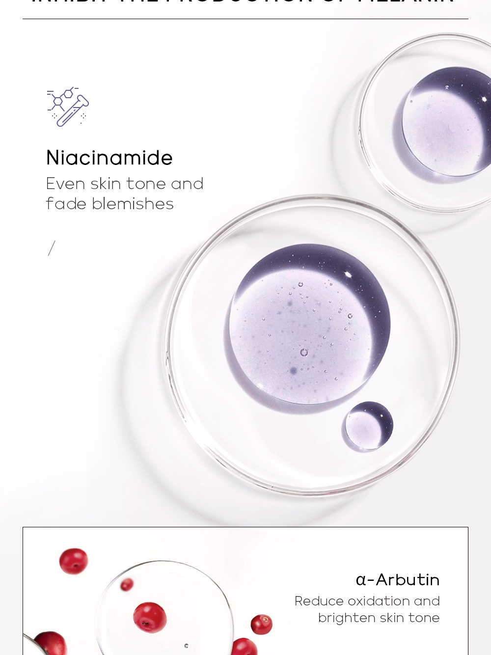 Fenyi Lab 10% Niacinamide Brightening Serum Retinol Shrink Pores Anti ...