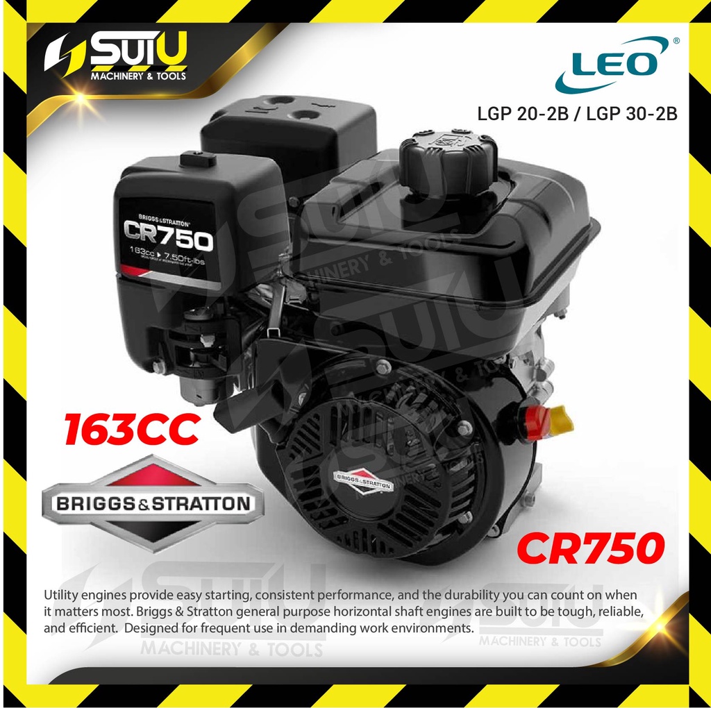 LEO LGP20-2B 163CC 5.5HP Gasoline & Diesel Engine Pump with Briggs & Stratton CR750 Engine ...