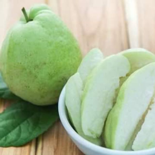 Pokok Jambu Batu SeedLess Hybrid | Shopee Malaysia