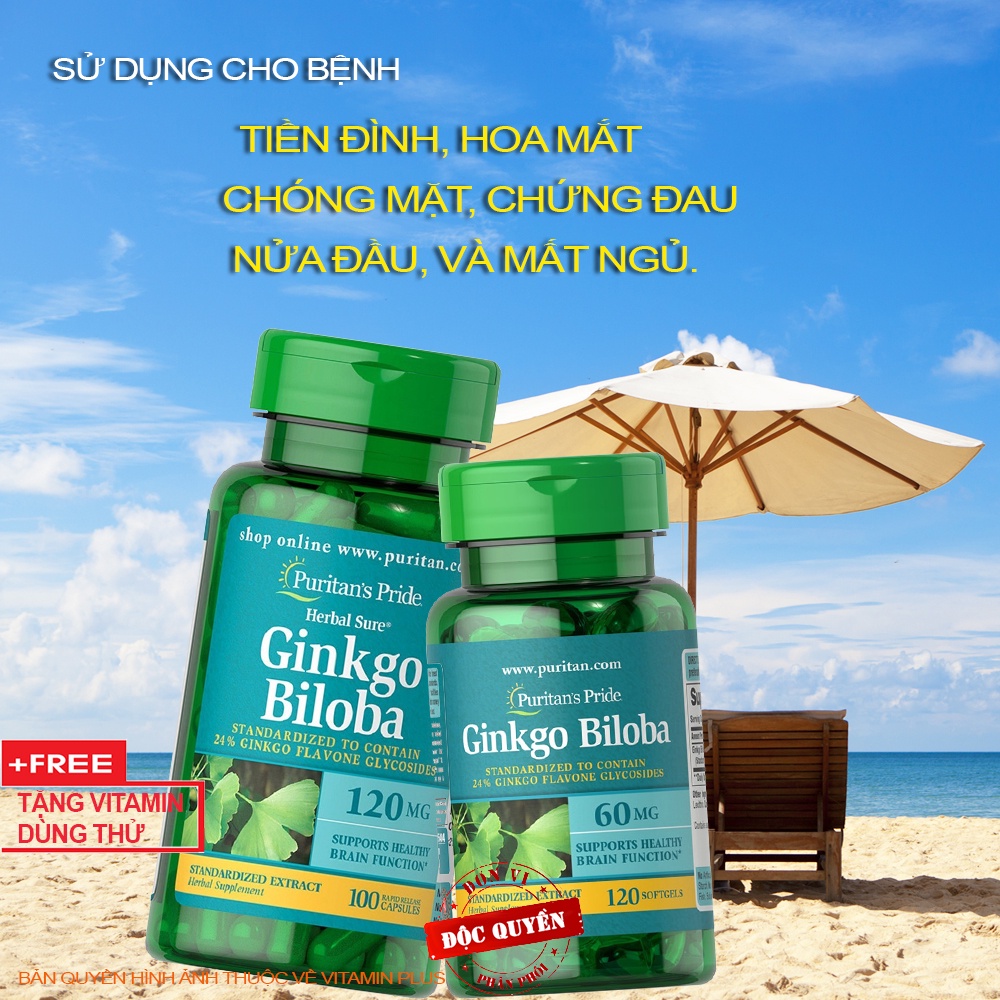 Puritan's Pride Ginkgo Biloba 120 mg 100 pills to increase cerebral ...