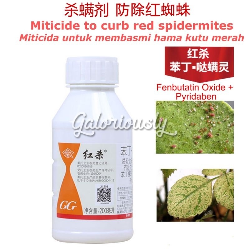 GG Miticide Red Spider Mite & Eggs 国光红杀 Spidermites Killer Pembasmi ...