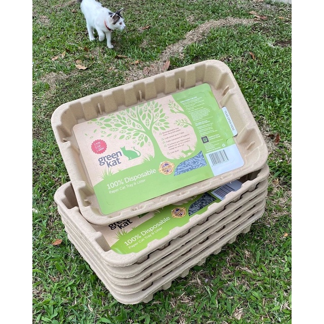 green kat disposable paper cat tray & litter | Shopee Malaysia