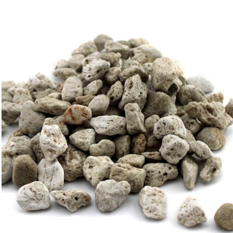 1 KG PUMICE STONE CACTUS SUCCULENT 轻石 浮石 多肉轻石/浮石 | Shopee Malaysia