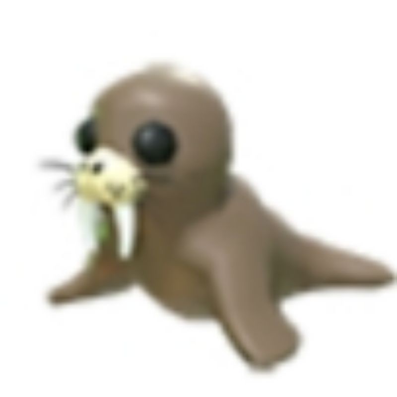 Roblox Adopt Me Pet Full Grown Walrus | Adopt Me Christmas Pet 2021 ...