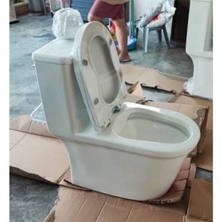 Saniware Wc2090 Rimless One Piece Wc | Shopee Malaysia