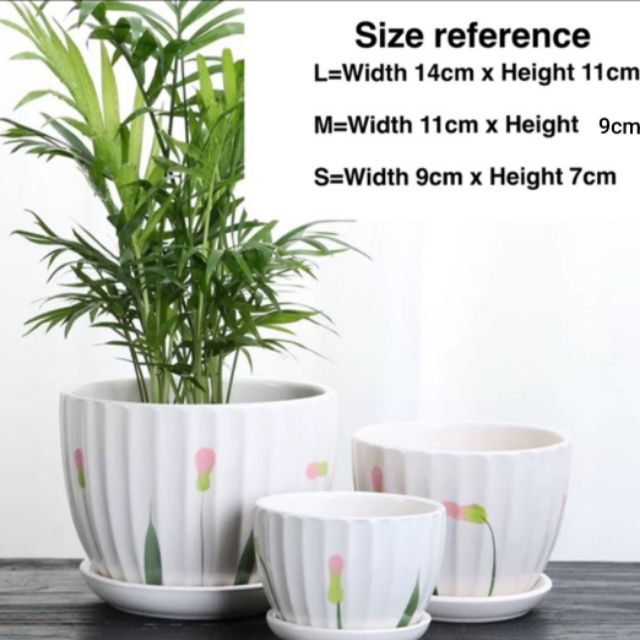 Ceramic Pot / Pot Kaca / A01 | Shopee Malaysia