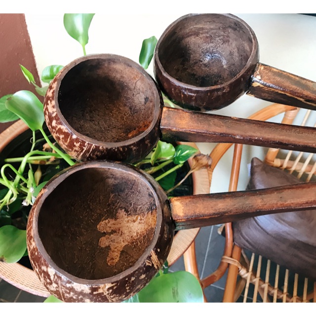 Gayung tempurung kelapa Batok | Shopee Malaysia