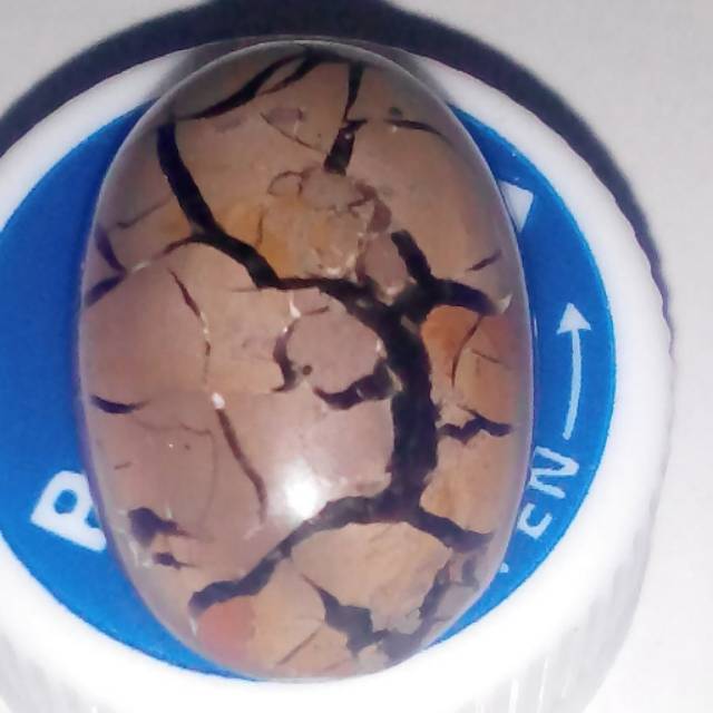 Original Dragon Scales Agate Stone Environmental sulawesi | Shopee Malaysia