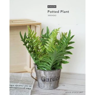 Kaison Malaysia Online Store & Catalogue, July 2024 | Shopee Malaysia