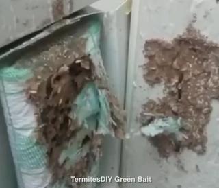 Termite Original Termites DIY Termite Baiting system (3box) - Umpan ...