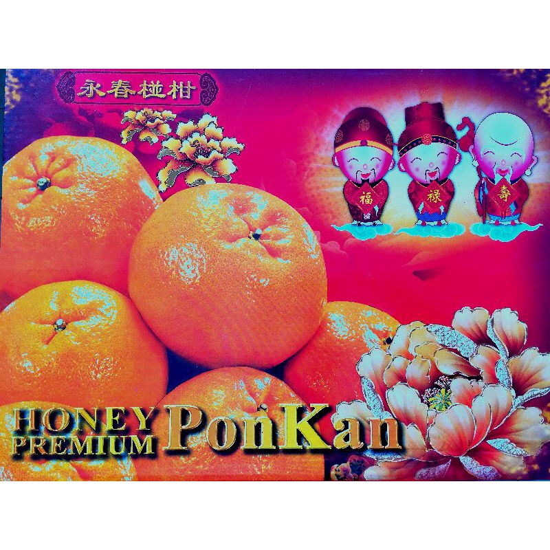 [CNY Honey Mandarin Orange Premium Gift Pack] 20pcs +3kg- | Shopee Malaysia