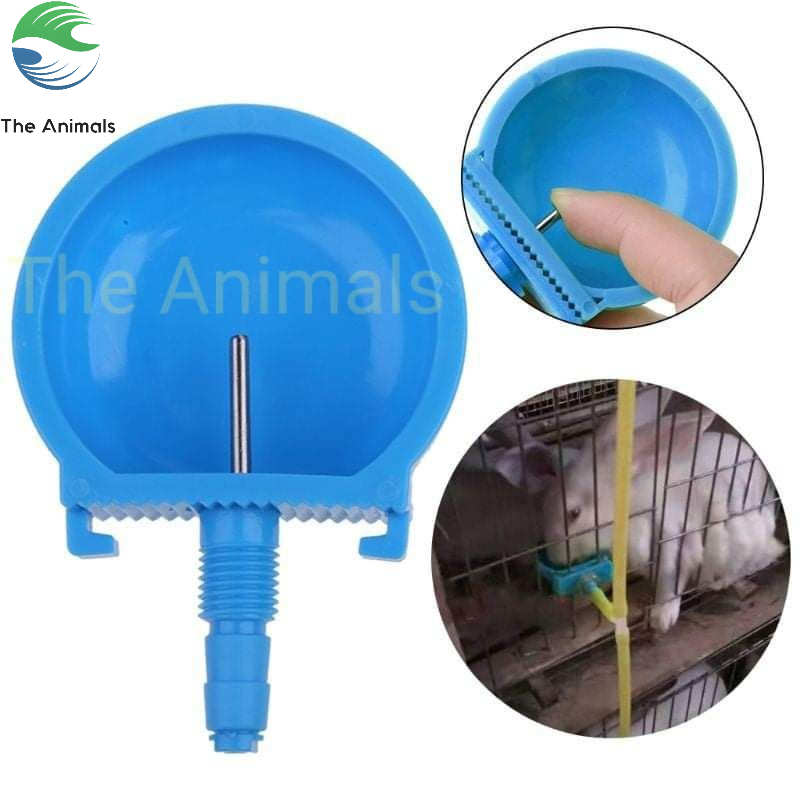 Drinking fountain for rabbits - Automatic water trough for rabbits ...