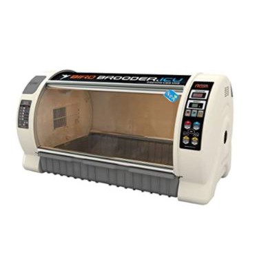 Bird icu brooder Rcom BL500 | Shopee Malaysia