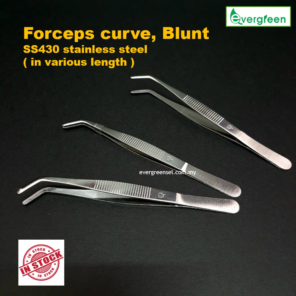 ( PROMO ) Forceps curve, SS430 stainless steel ( in various size ...